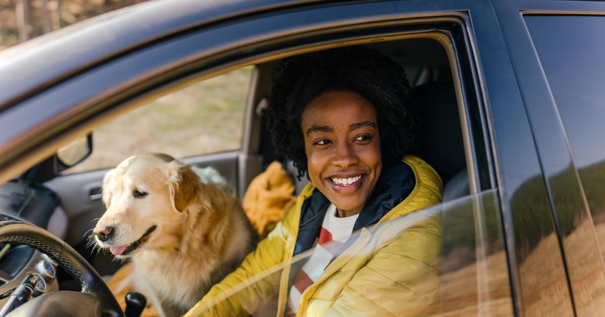 Tips for a Safe Road Trip With Your Pets | Allstate