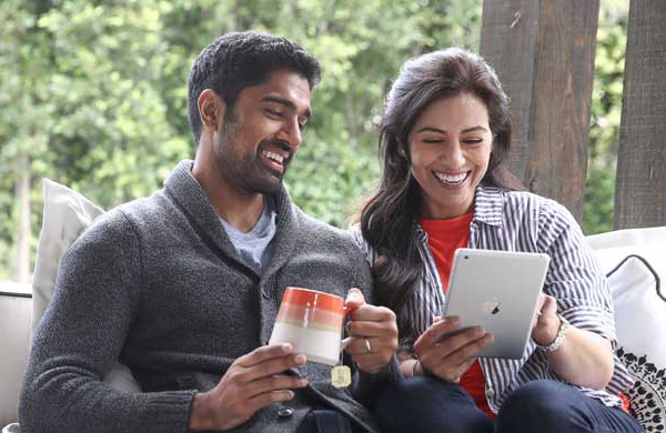 North Light Specialty - Home